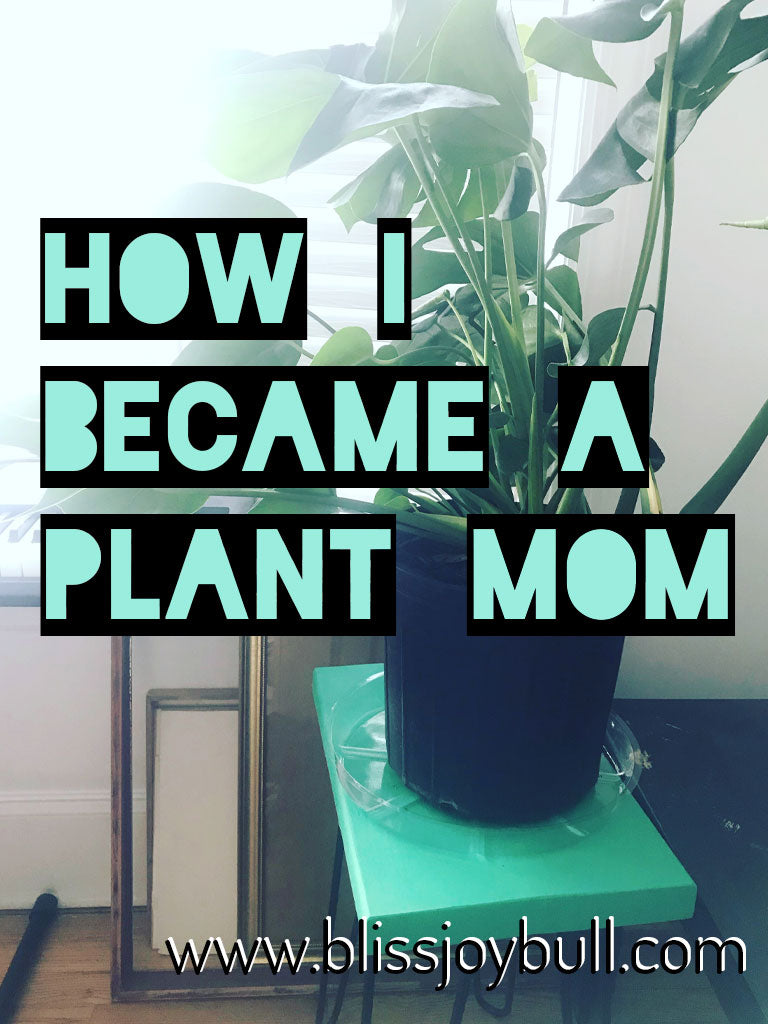 How I Became a Plant Mom – BLISS JOY BULL